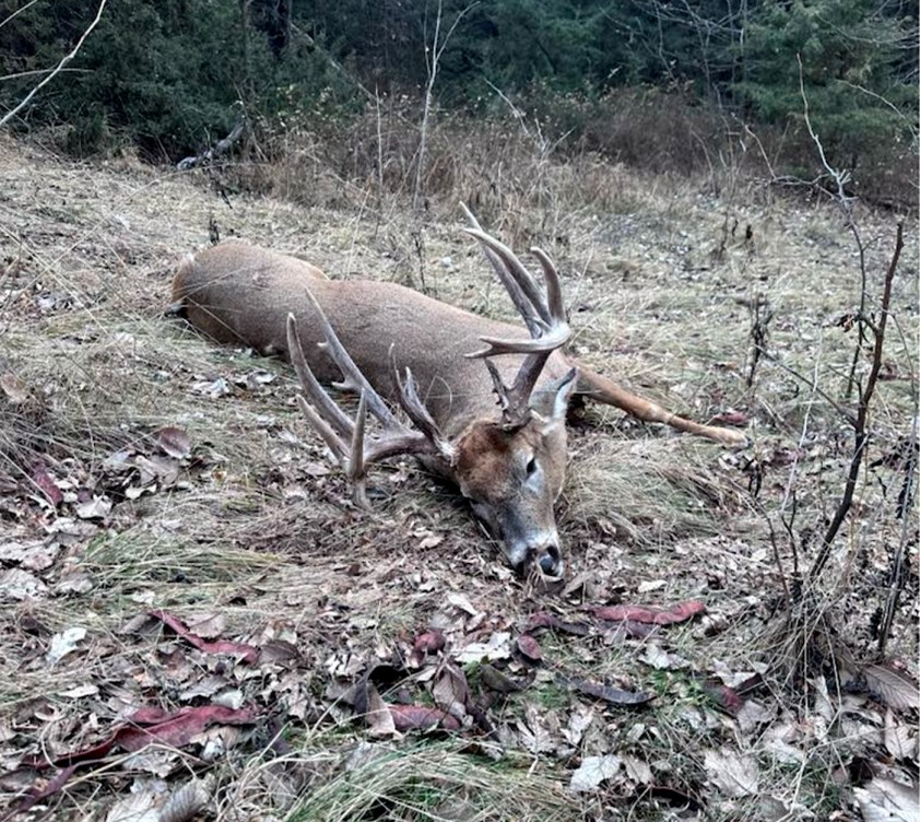 Army Vet Gets His First Whitetail Buck on Last Day of the Season, and ...