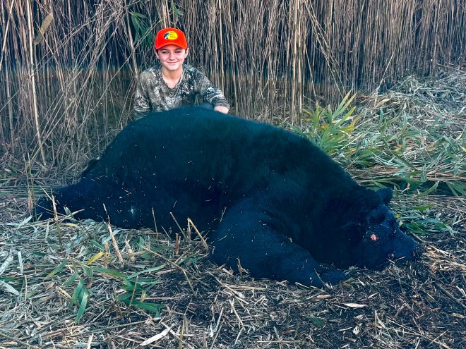 Florida Commission Unanimously Approves Black Bear Hunt, Despite Anti ...