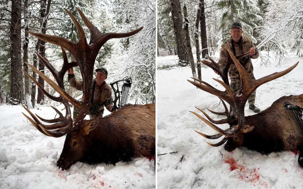 Bowhunter with 86 Bulls to His Credit Tags a Pending World-Record Elk ...