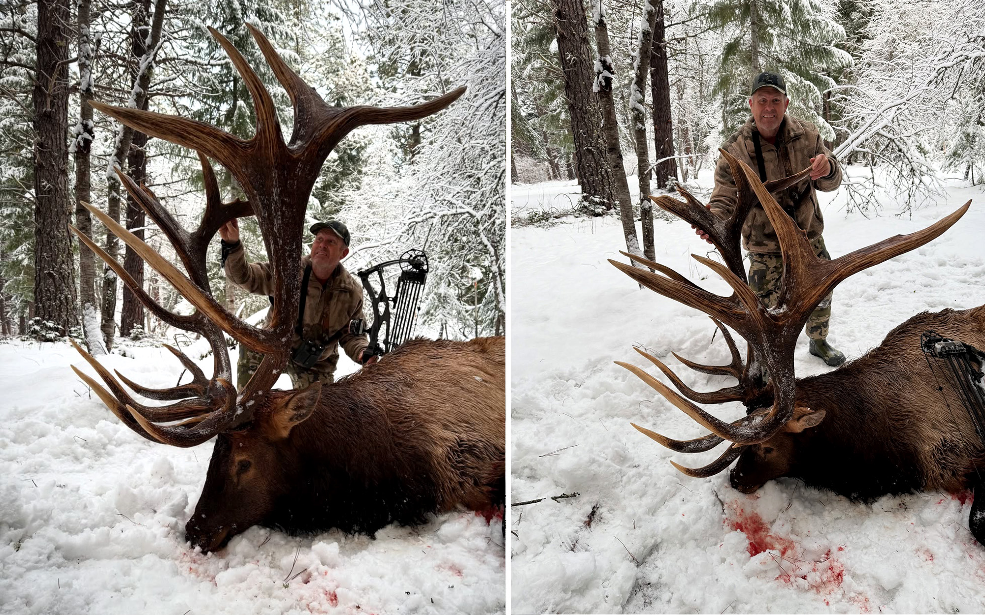 monster elk