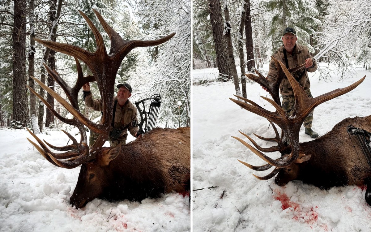 Bowhunter with 86 Bulls to His Credit Tags a Pending World-Record Elk ...