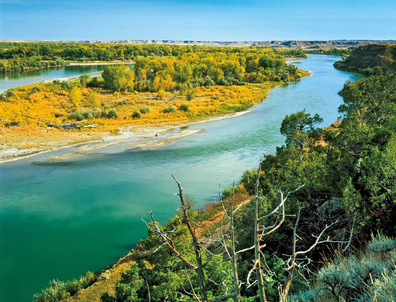 Understanding the 3 Types of Trout Streams (and How to Fish Them ...