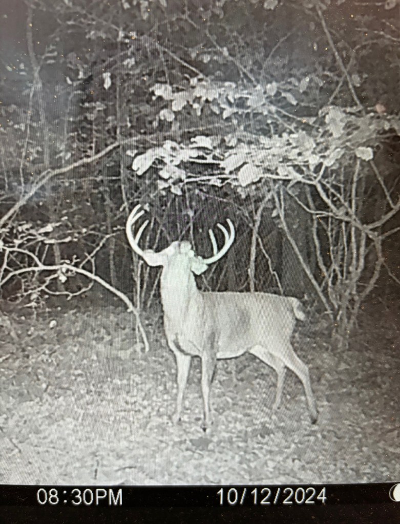 Middle-School Teacher Tags the Biggest Typical Buck Killed in ...