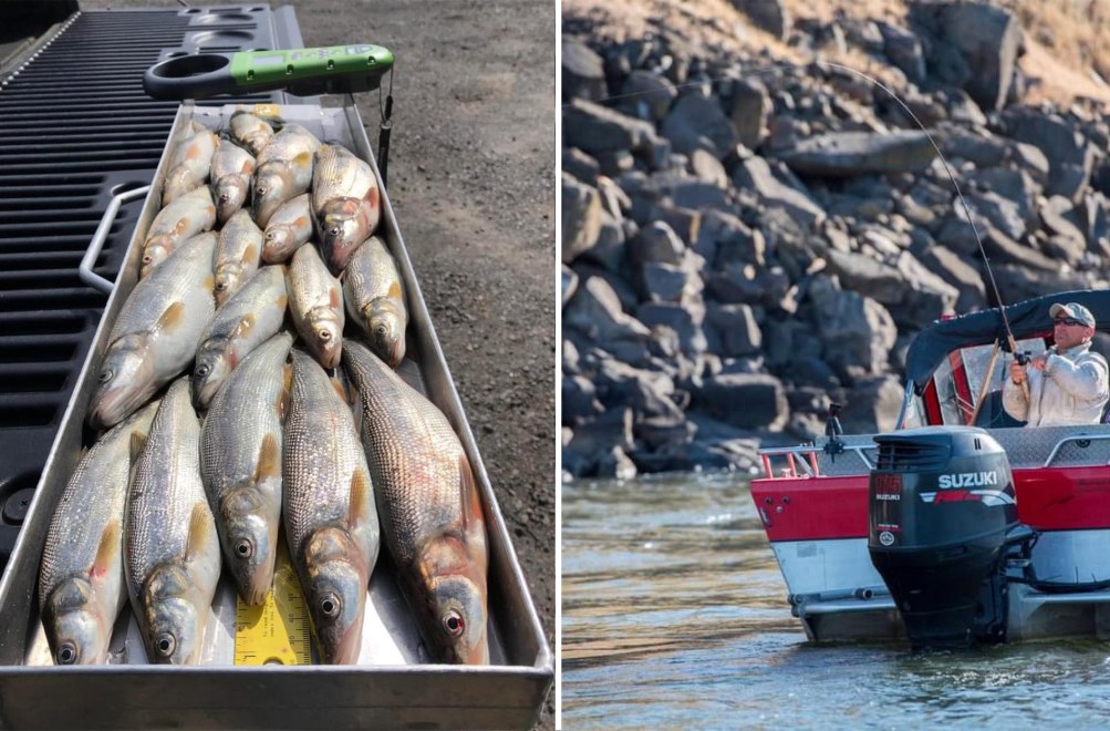 The Best Damn Goose Recipe Ever