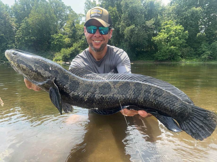 The Best Snakehead Lures | Outdoor Life