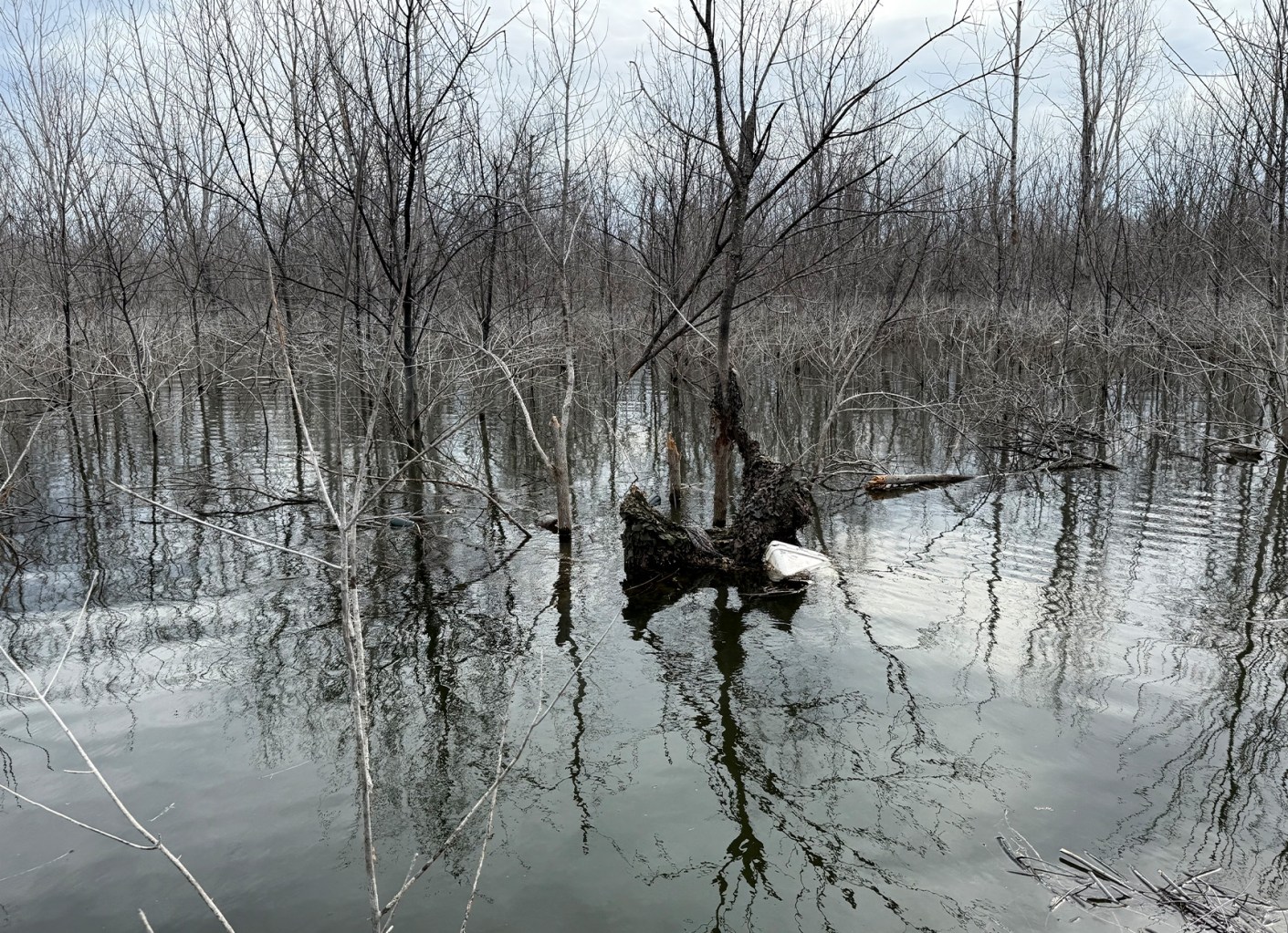 Stranded Hunters Survive Freezing Night on the Water by Building a Fire ...