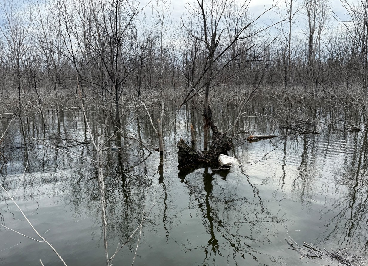 Stranded Hunters Survive Freezing Night on the Water by Building a Fire ...