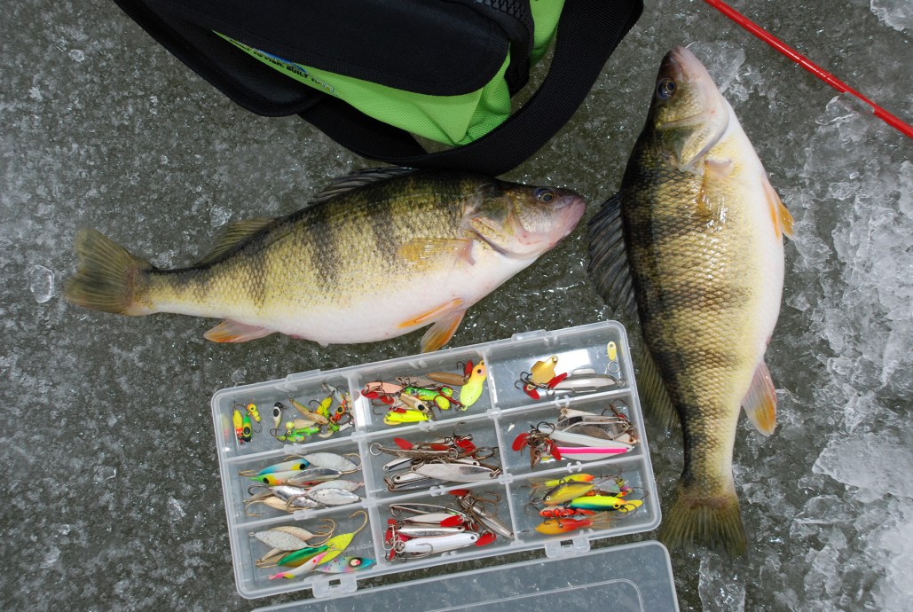 Tips for Catching Jumbo Yellow Perch Through the Ice | Outdoor Life