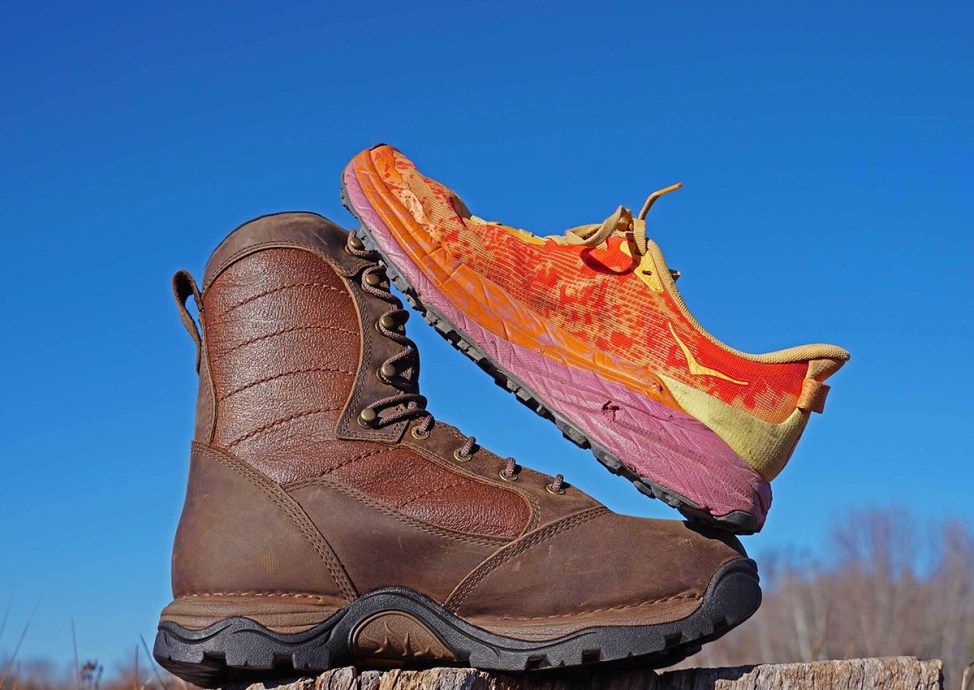 Whitetail Facts: 16 Things to Know About Fawns