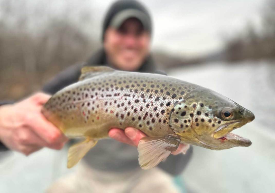 Understanding the 3 Types of Trout Streams (and How to Fish Them ...