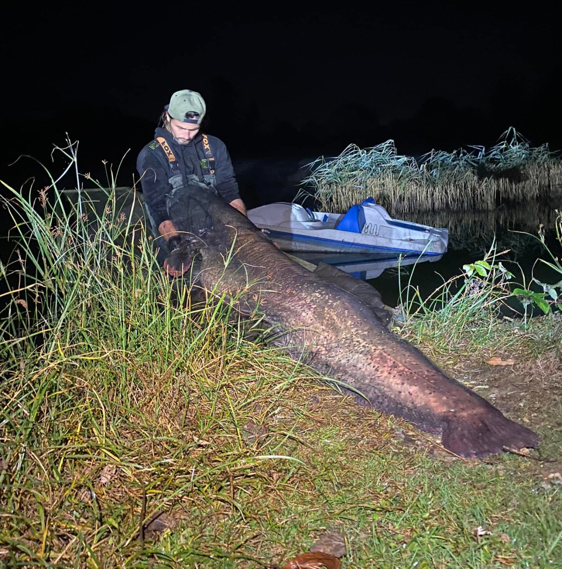 Landing This 8-Foot Catfish, Possibly the Largest Ever Caught in the UK ...