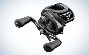 How to Fish an Alabama Rig: A Complete Guide | Outdoor Life