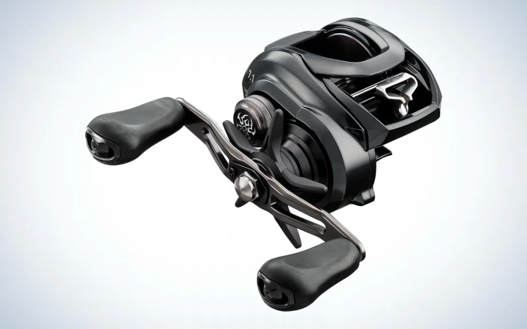 How to Fish an Alabama Rig: A Complete Guide | Outdoor Life