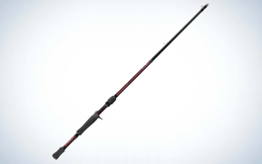 How to Fish an Alabama Rig: A Complete Guide | Outdoor Life