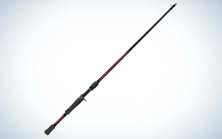 How to Fish an Alabama Rig: A Complete Guide | Outdoor Life