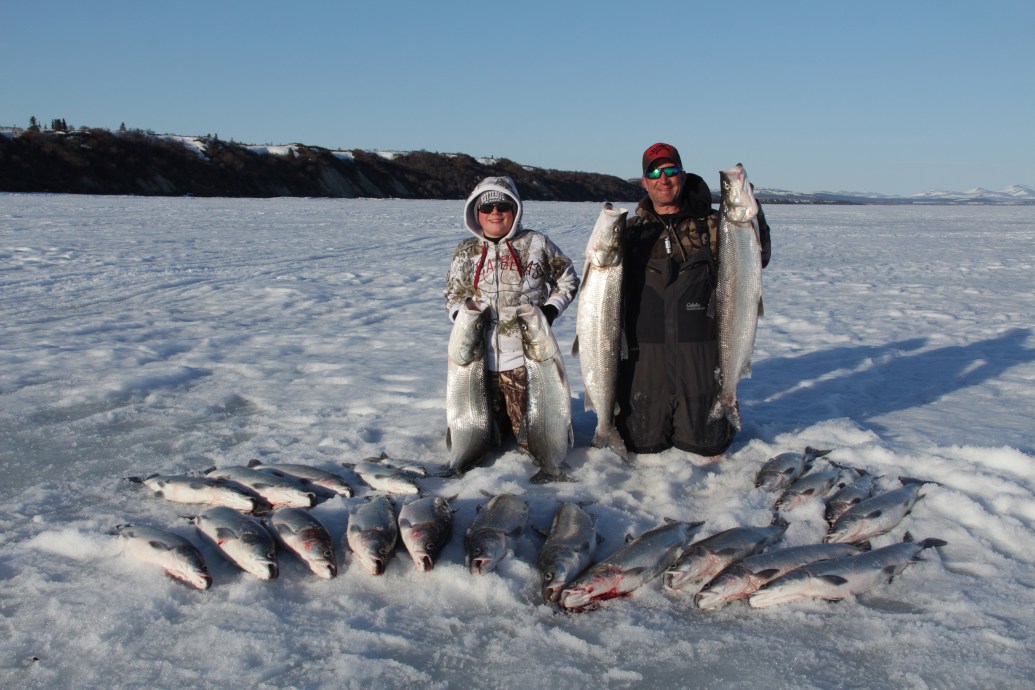 Ice Fishing for Giant Sheefish in the Arctic Is a True Winter Adventure ...