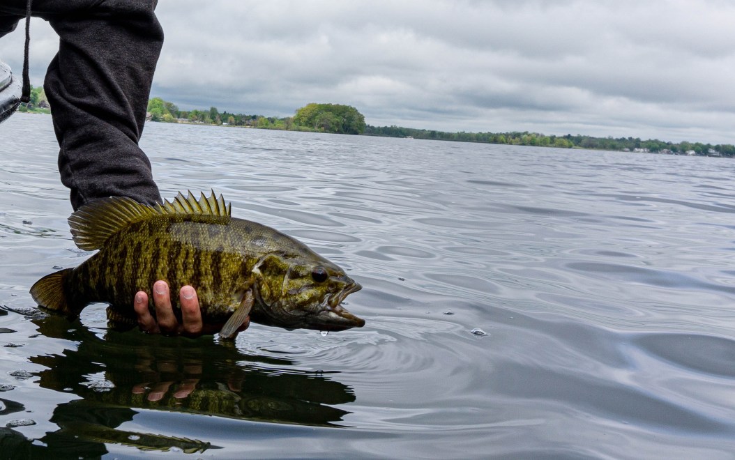 How to Fish a Chatterbait: A Complete Guide | Outdoor Life