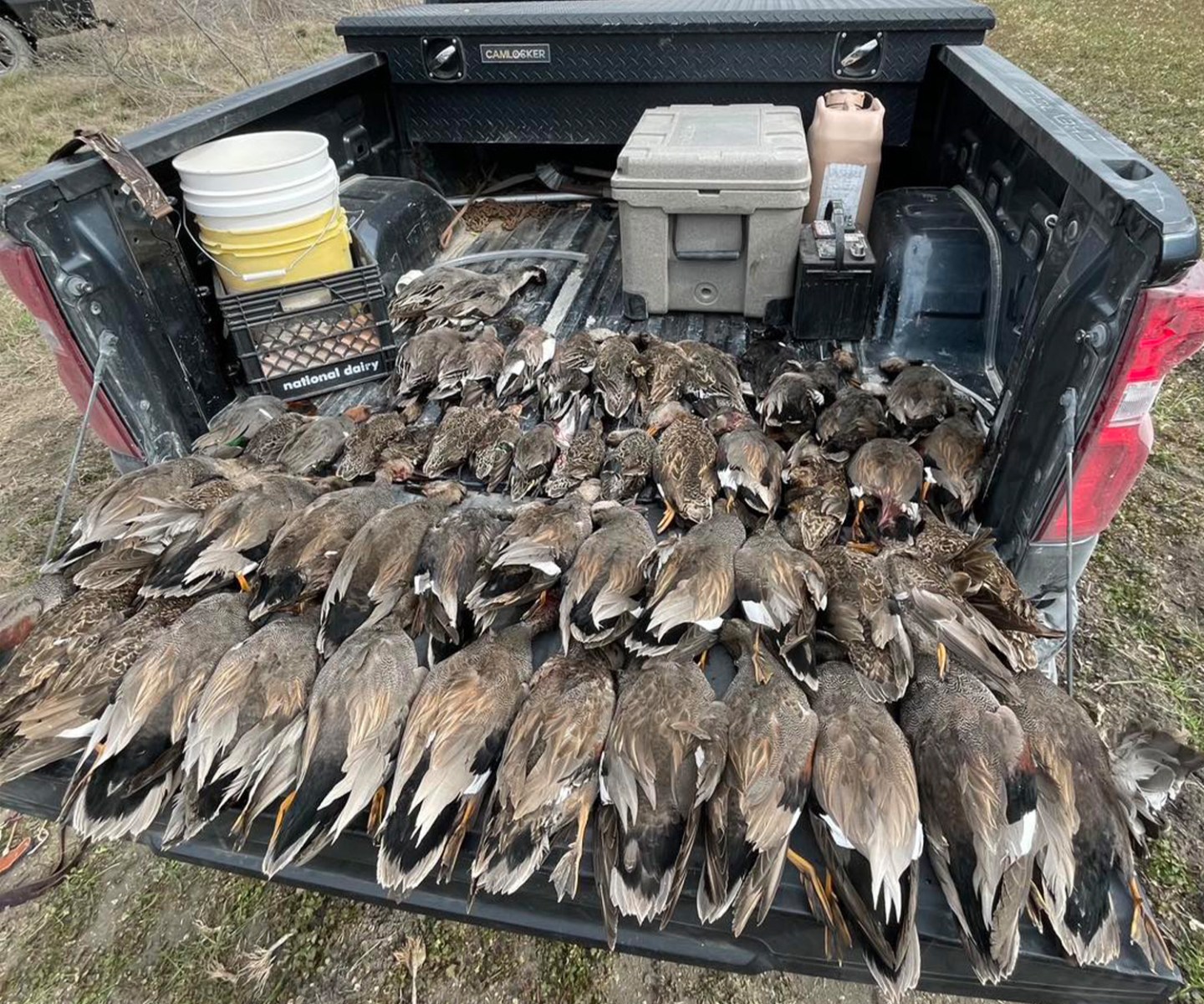 Poachers Caught with 3X Legal Limit Said 'This Was More Ducks Than They ...