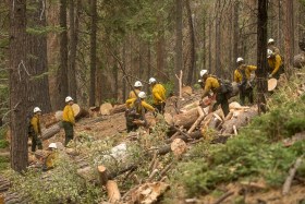 Feds Fire 4,400+ Public-Land Employees, Including Forest Service ...