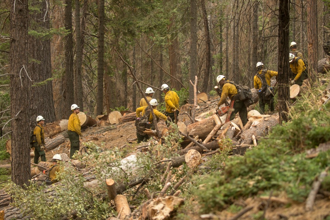 Feds Fire 4,400+ Public-Land Employees, Including Forest Service ...