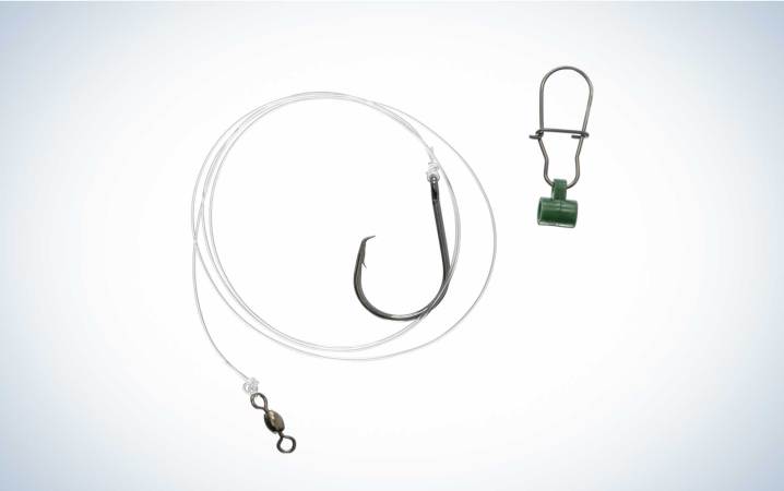 Surf Fishing: The Ultimate Beginner’s Guide | Outdoor Life