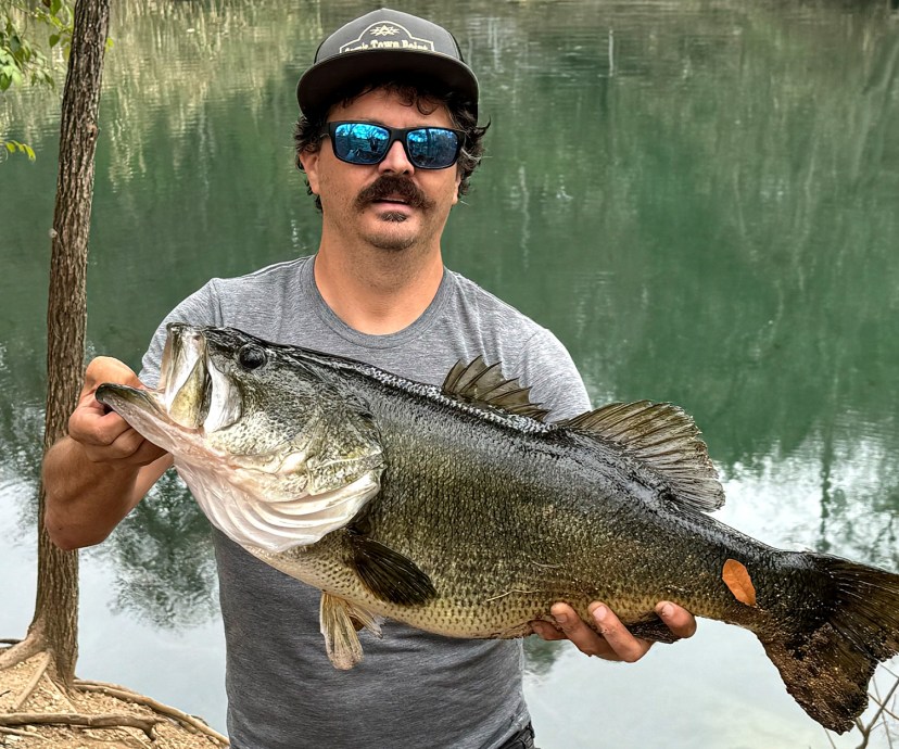 Record Largemouth Caught in Downtown Austin Is the Biggest Bass (So Far ...