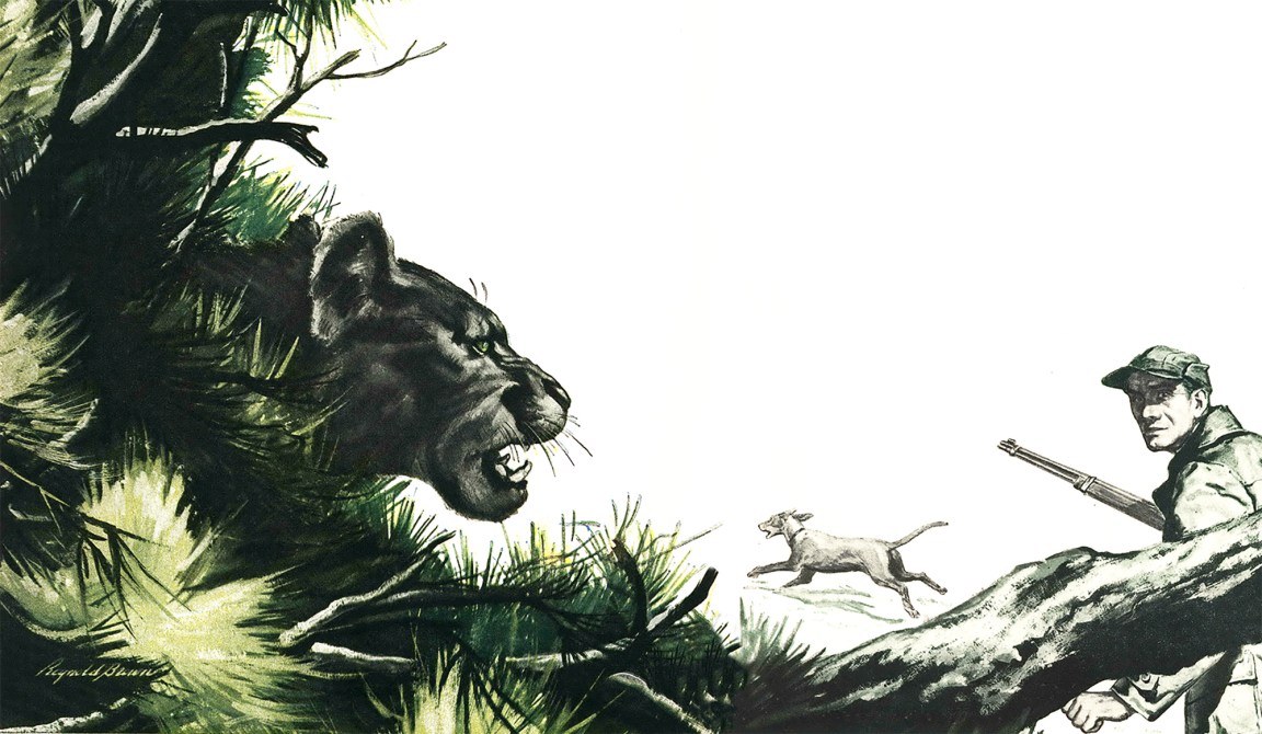 Maggie Was a Goofy, Distractible Mutt, and the Best Lion Dog I Ever ...