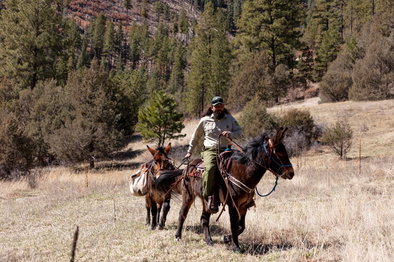 Feds Fire 4,400+ Public-Land Employees, Including Forest Service ...