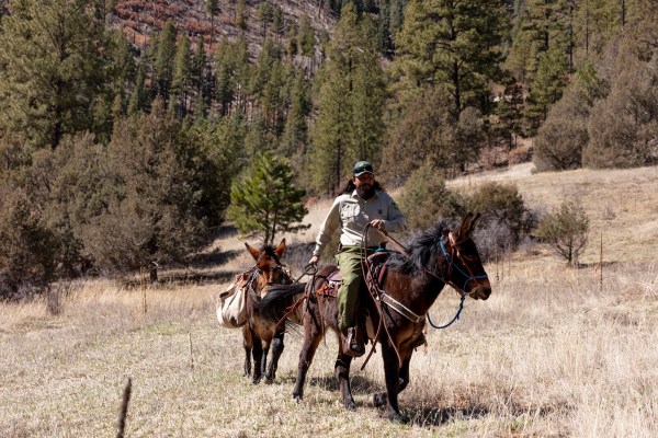 Feds Fire 4,400+ Public-Land Employees, Including Forest Service ...