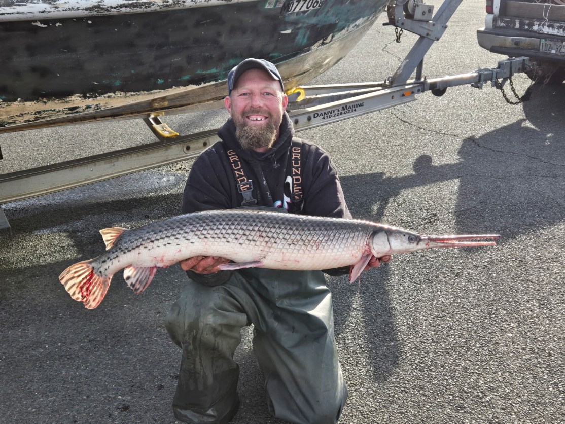 'We Kept Fishing.' Angler Breaks Maryland Longnose Gar Record Twice in ...