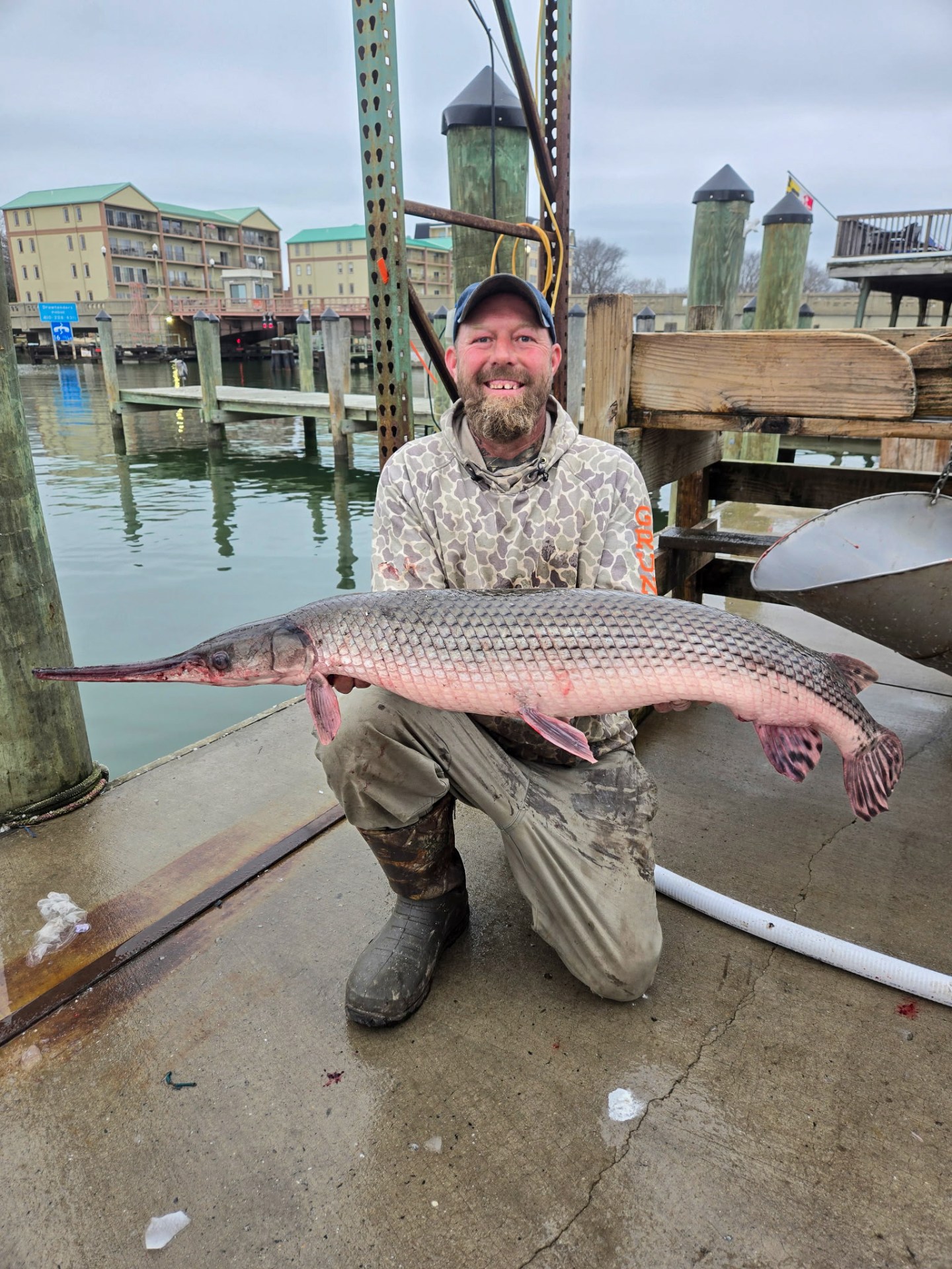 'We Kept Fishing.' Angler Breaks Maryland Longnose Gar Record Twice in ...