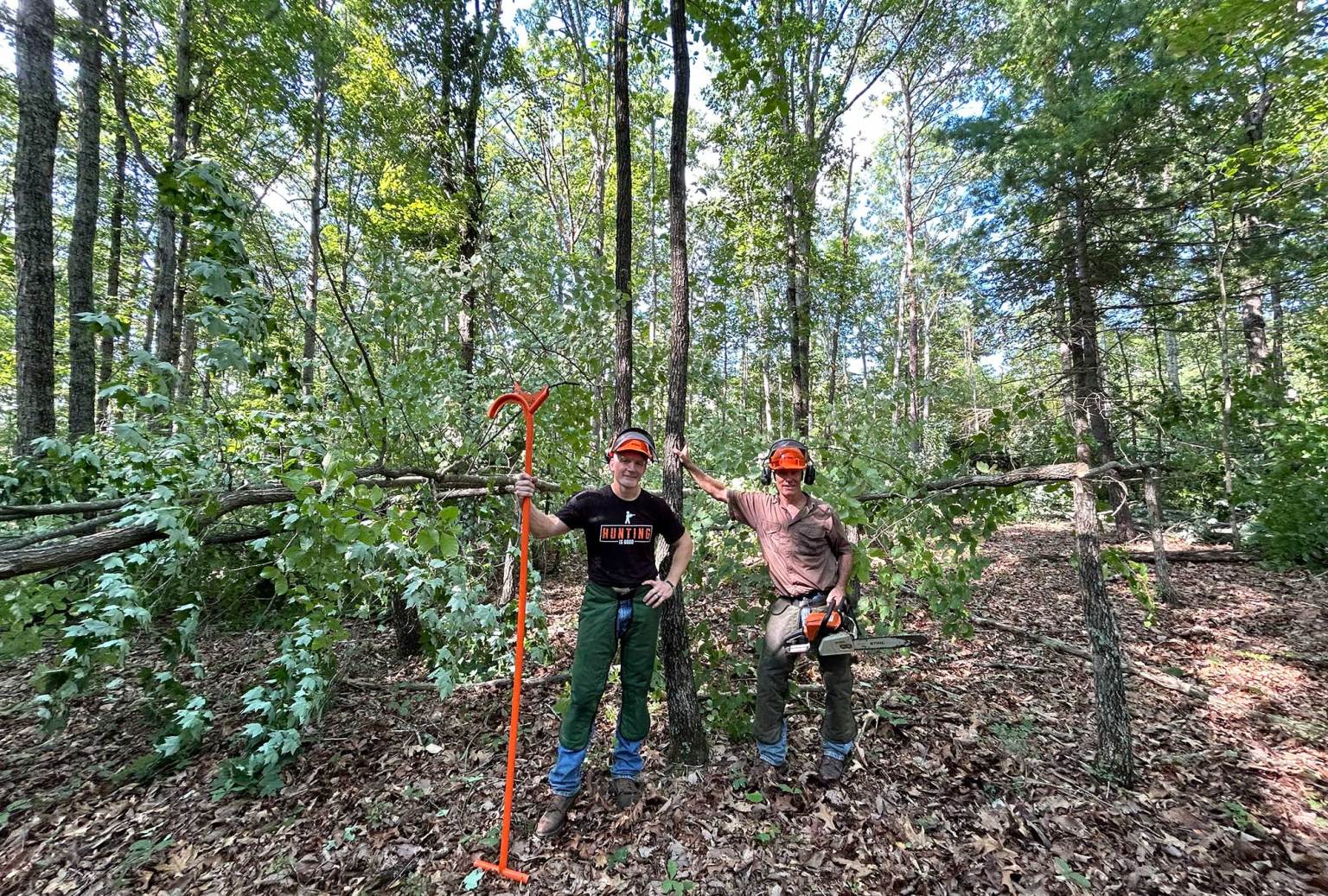 Timber Stand Improvement: Understand the Basics | Outdoor Life