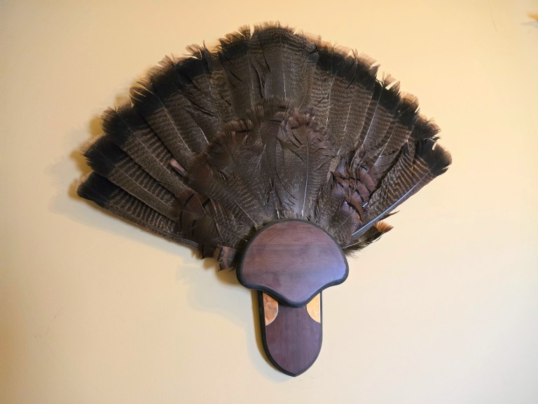 Best Turkey Fan Mount Kits of 2026 | Outdoor Life