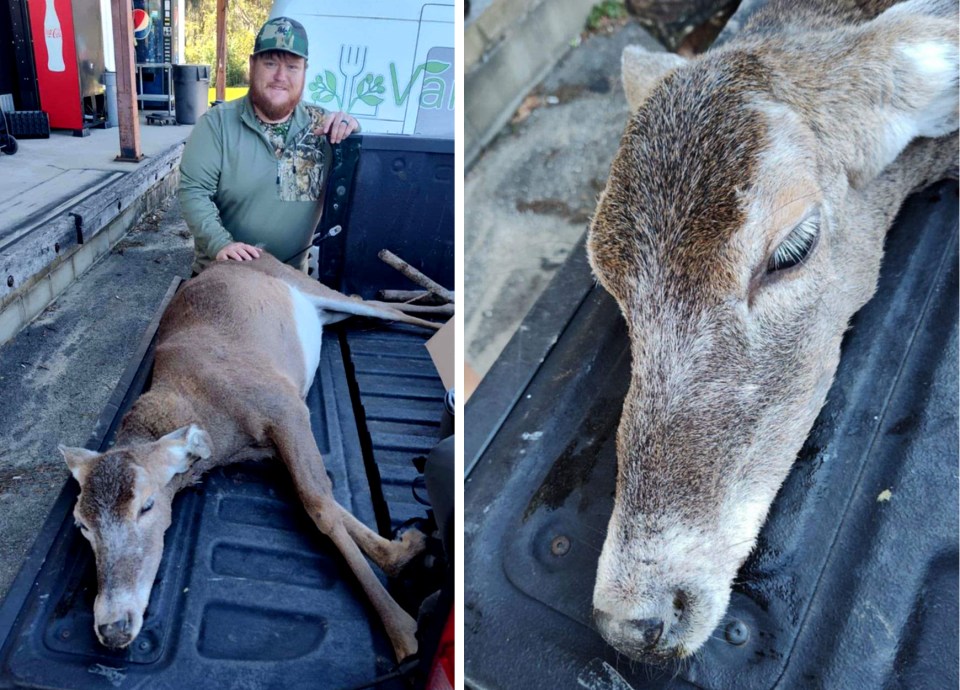 This 20-Year-Old Georgia Doe Might Be the Oldest Deer Ever Killed in ...