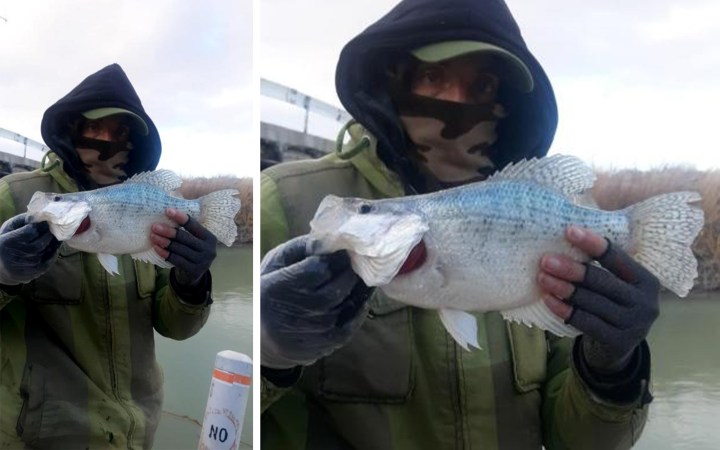 Utah Angler Who Broke State Crappie Record Says He's Already Caught an ...