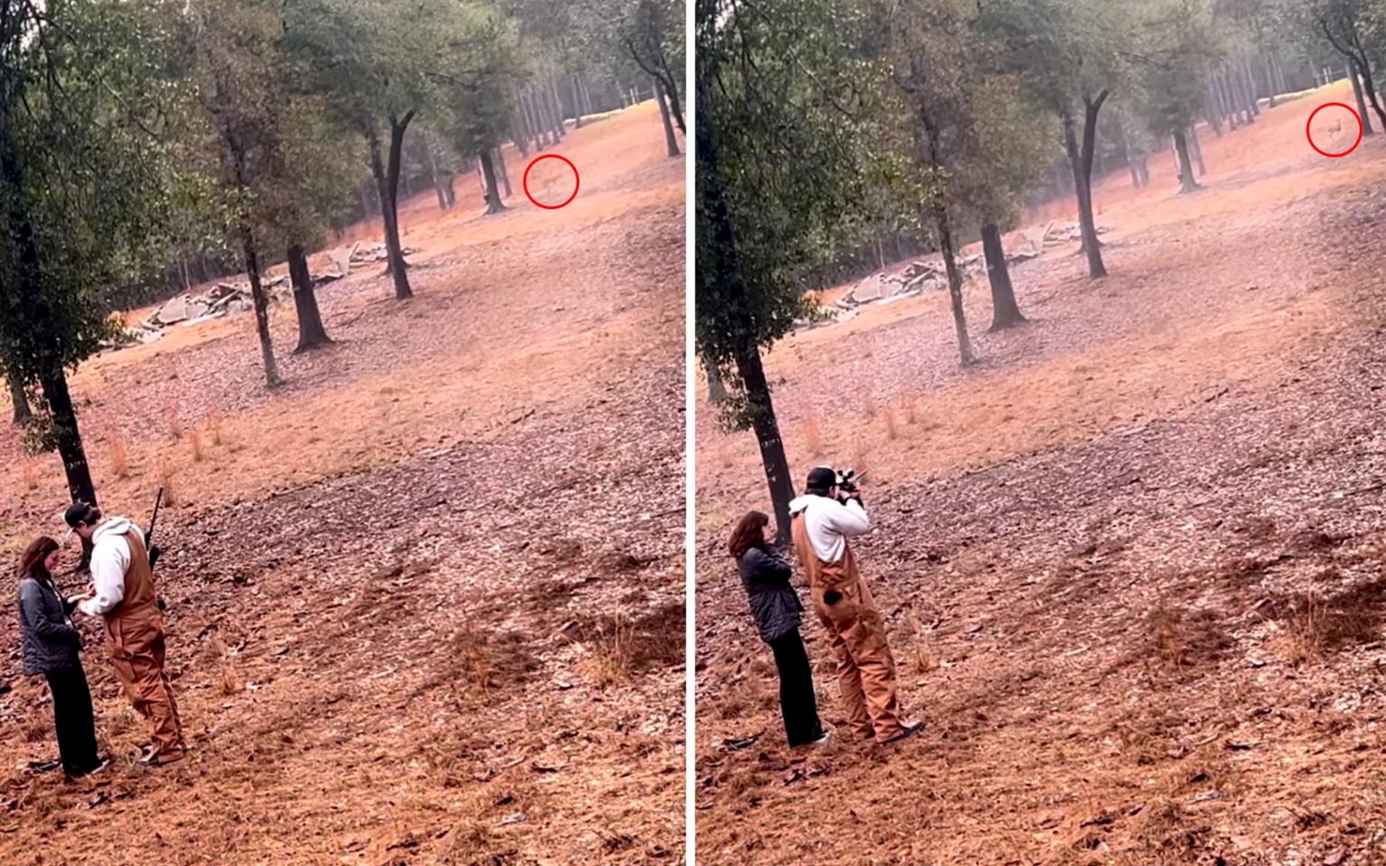 Watch: Hunter Pops the Question, Then Drops a Deer at 100 Yards ...