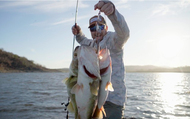 How to Fish an Alabama Rig: A Complete Guide | Outdoor Life
