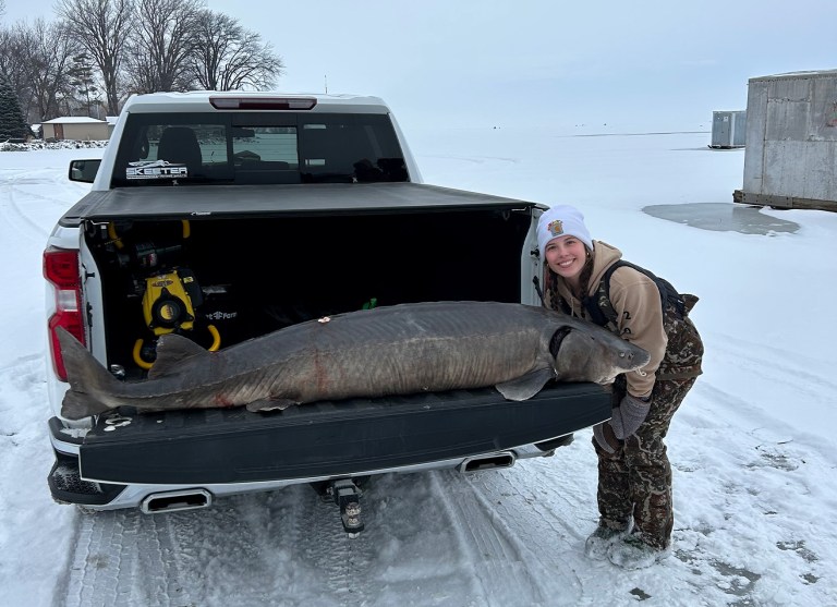 Near-Record Sturgeon Pulled Through the Ice Was So Big It Took Two ...