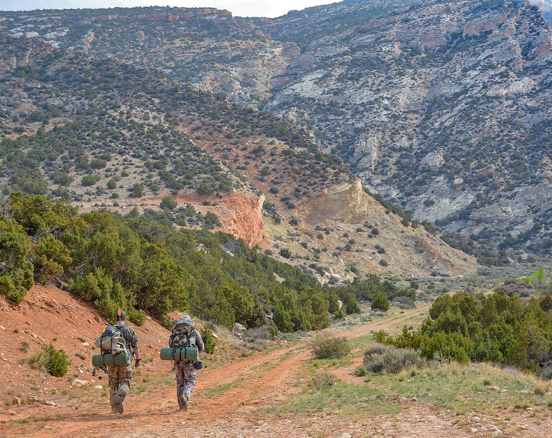 President Teddy Roosevelt Conserved Millions of Acres of Federal Lands ...