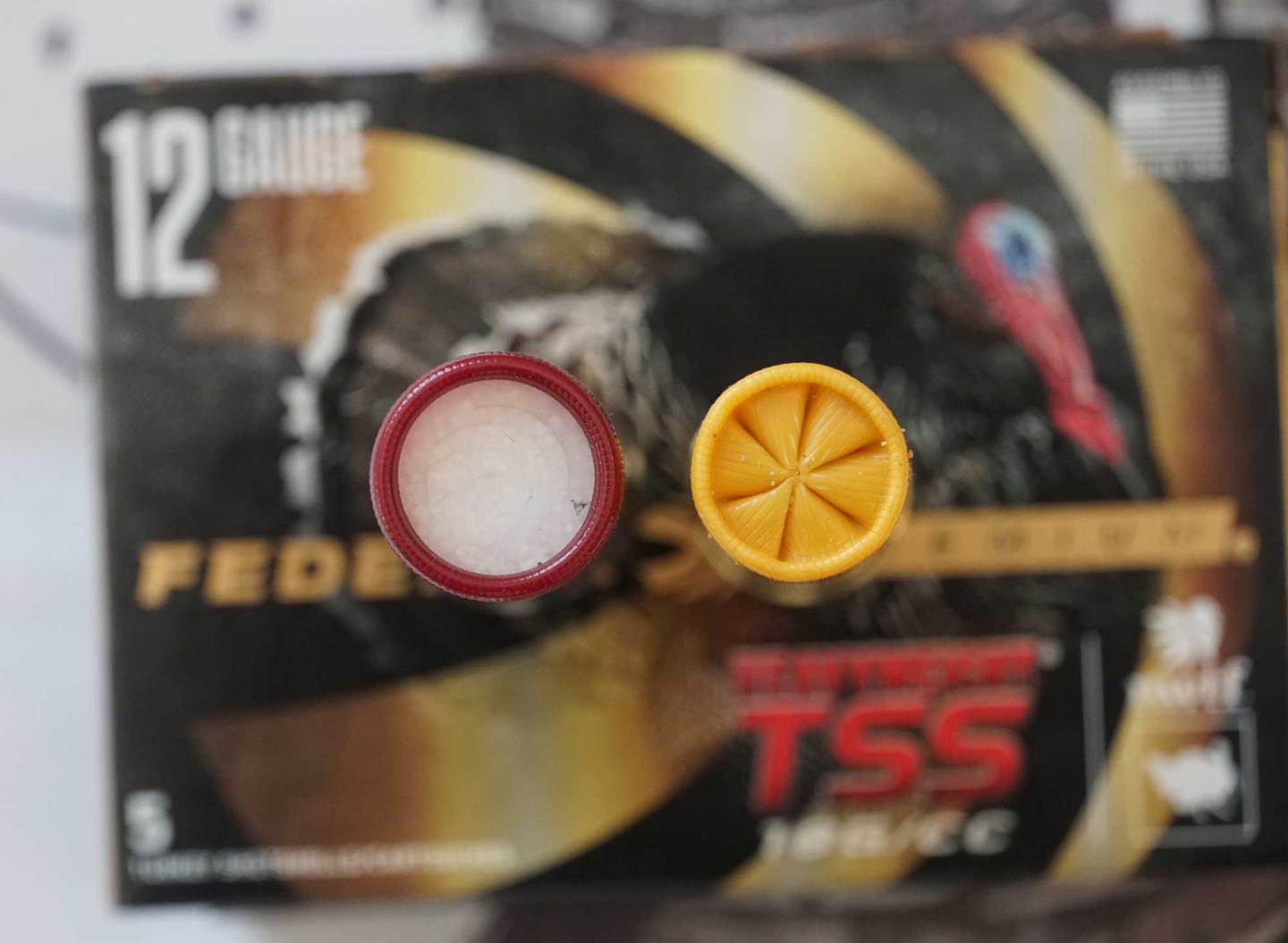 12 Gauge vs 20 Gauge for Turkey Hunting: An Honest Look at the Data ...
