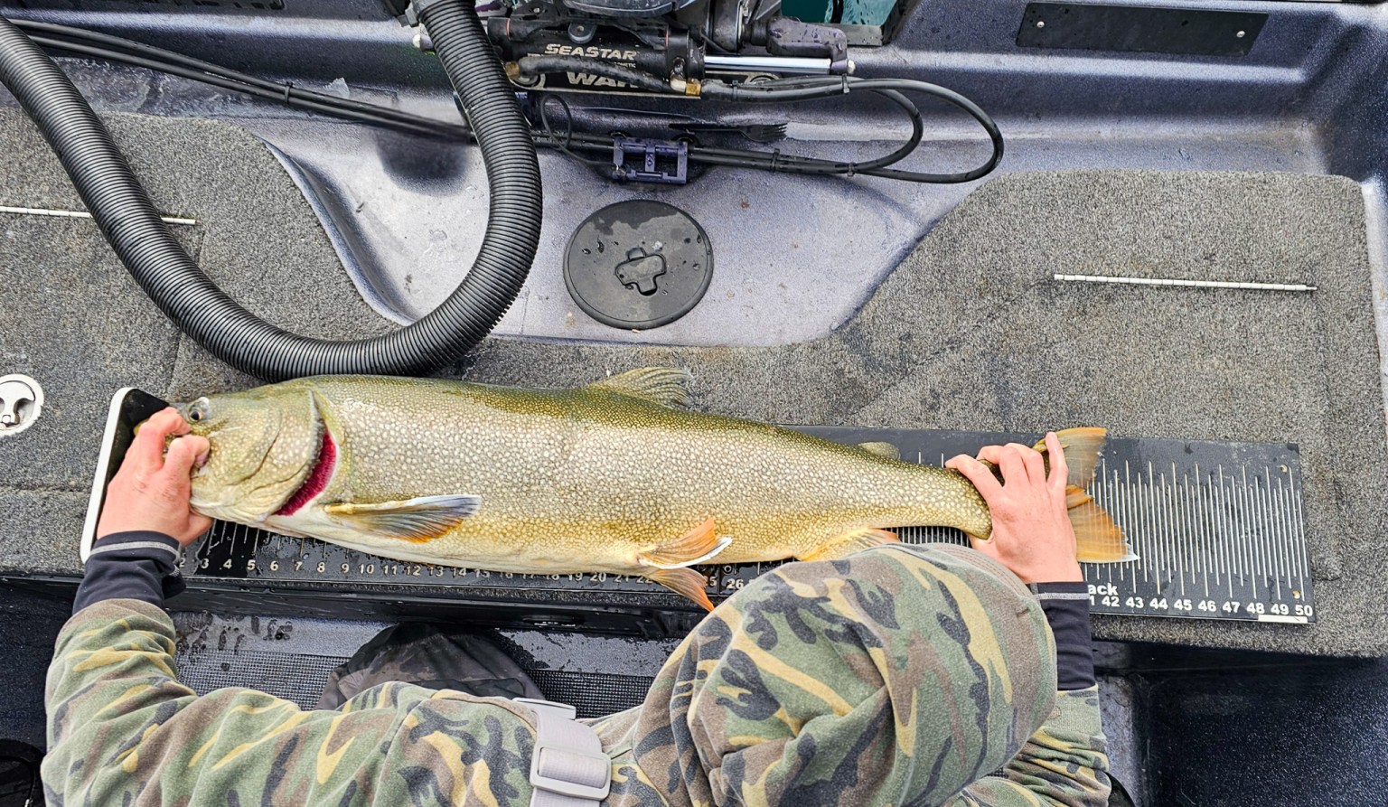 Minnesota Confirms New State Record Lake Trout