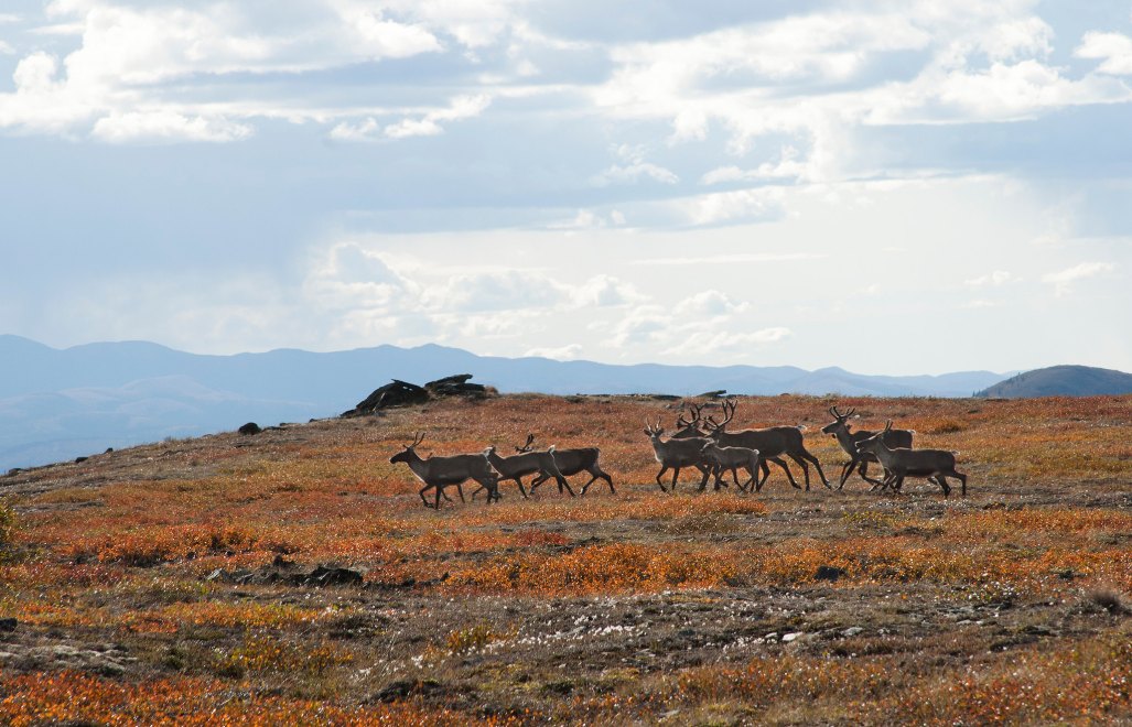 Meet the Alabama Angler on a Mission to Grow the World-Record Bluegill ...