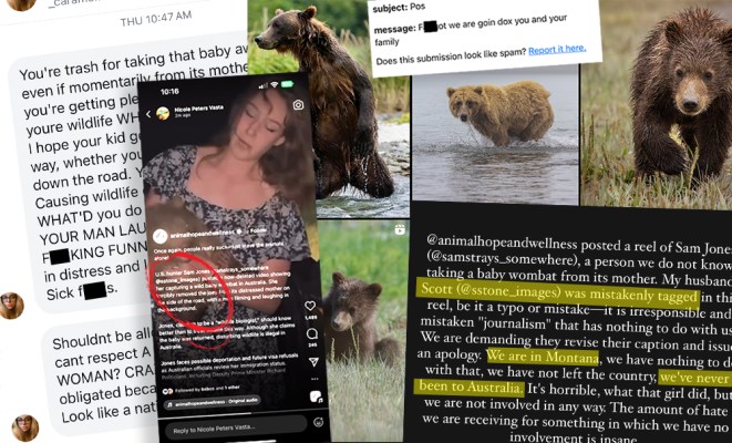 A Wildlife Photographer Was Wrongly Tagged in the Viral Baby Wombat ...