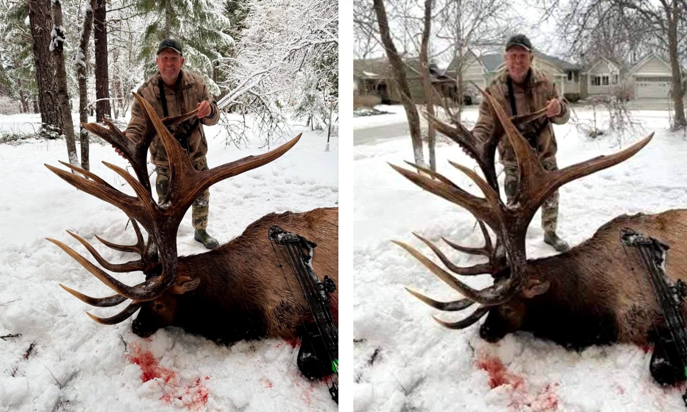 The Real Story Behind the Casey Brooks Bull, the Pending World Record ...