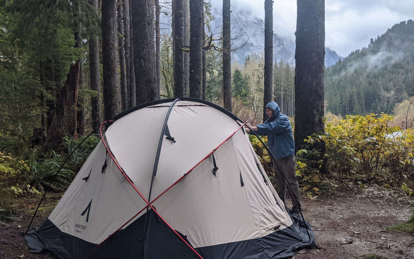 Instant vs Camping Tents: Are Pop-Up Tents Worth It? | Outdoor Life