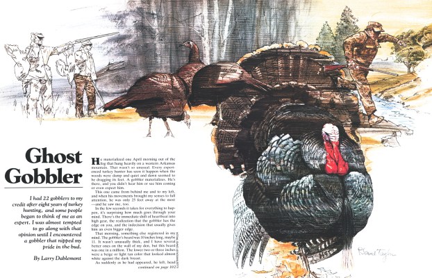 A White-Bearded Gobbler Ruined My Turkey Hunting Streak and Gave Me a ...