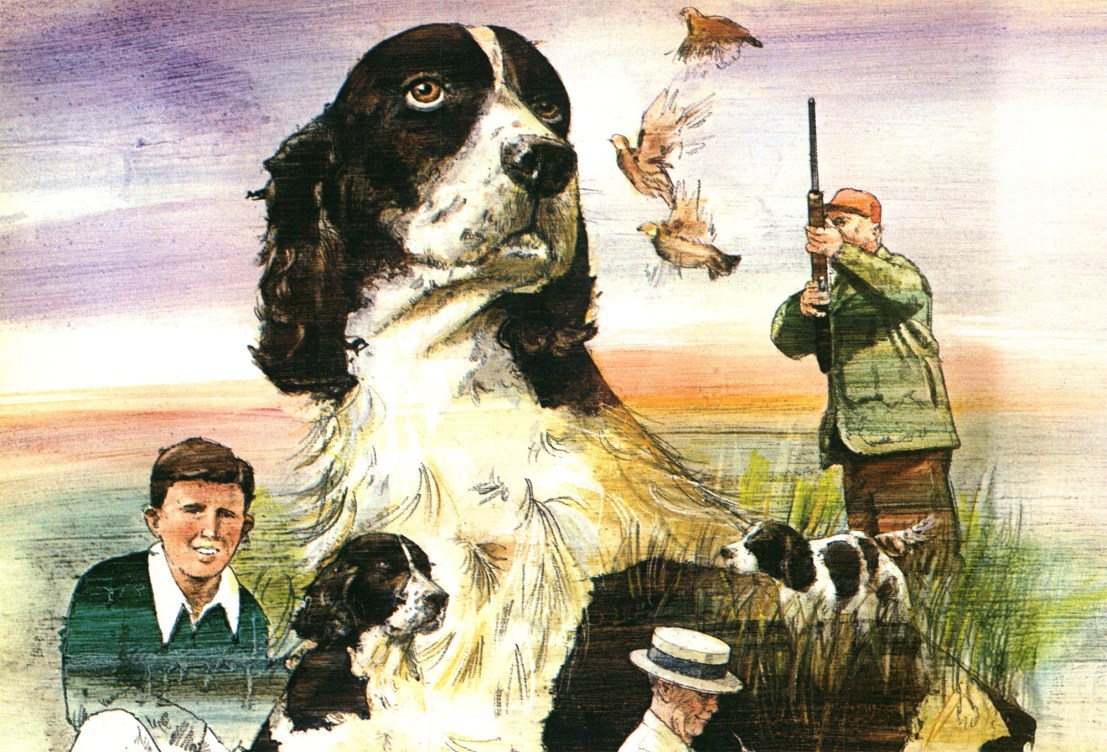 Jim the Wonder Dog, an Otherwise Ordinary Setter, Was the Smartest Dog ...