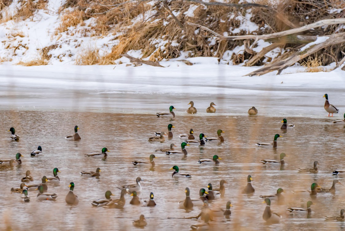 How Long Can You Survive Without Water? | Outdoor Life