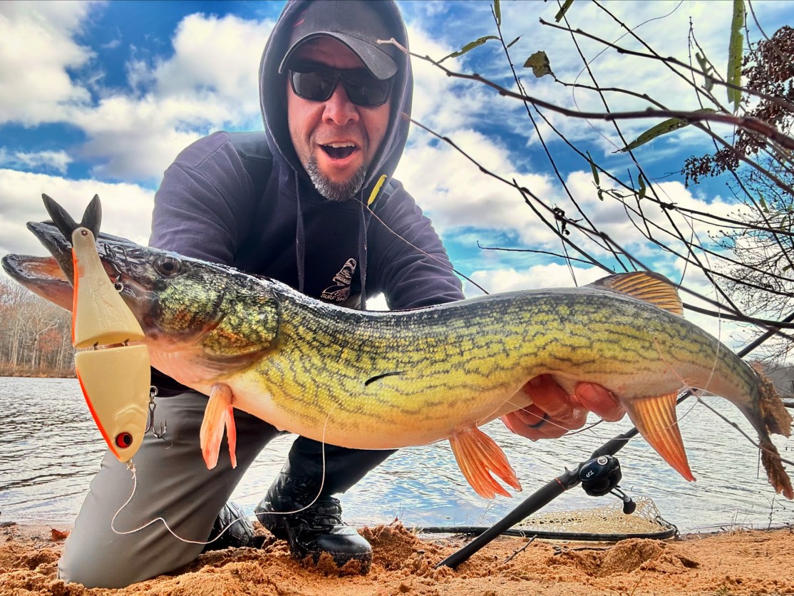 Quick Strike Podcast: Early Spring Tricks for Giant Chain Pickerel ...