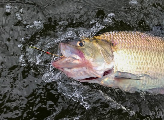 Fishing Tips, Tactics, Lures and Gear | Outdoor Life